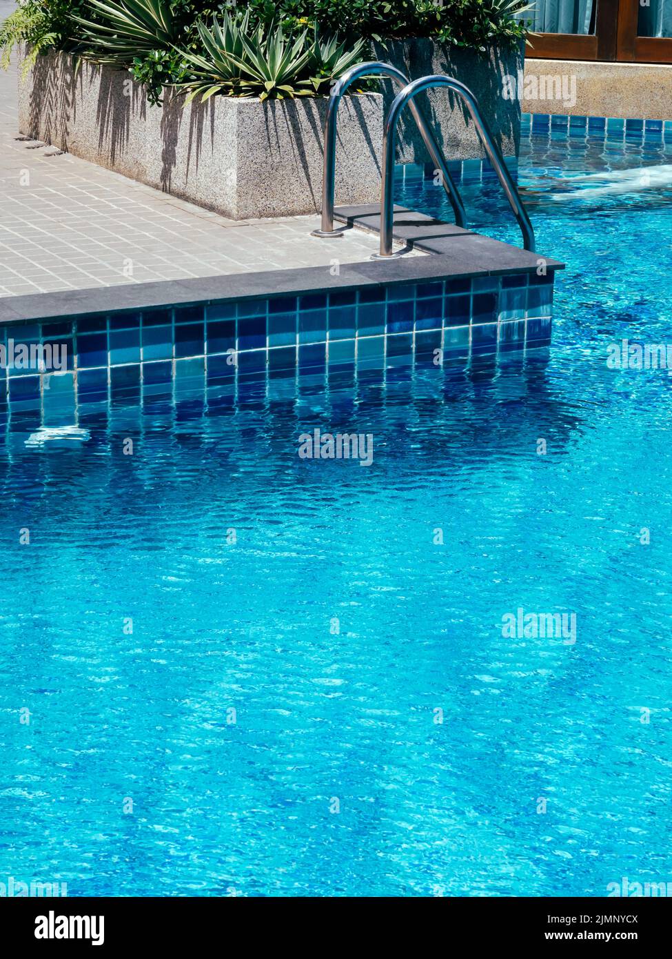 Poolside decoration with green leaves in the stone block near the ...