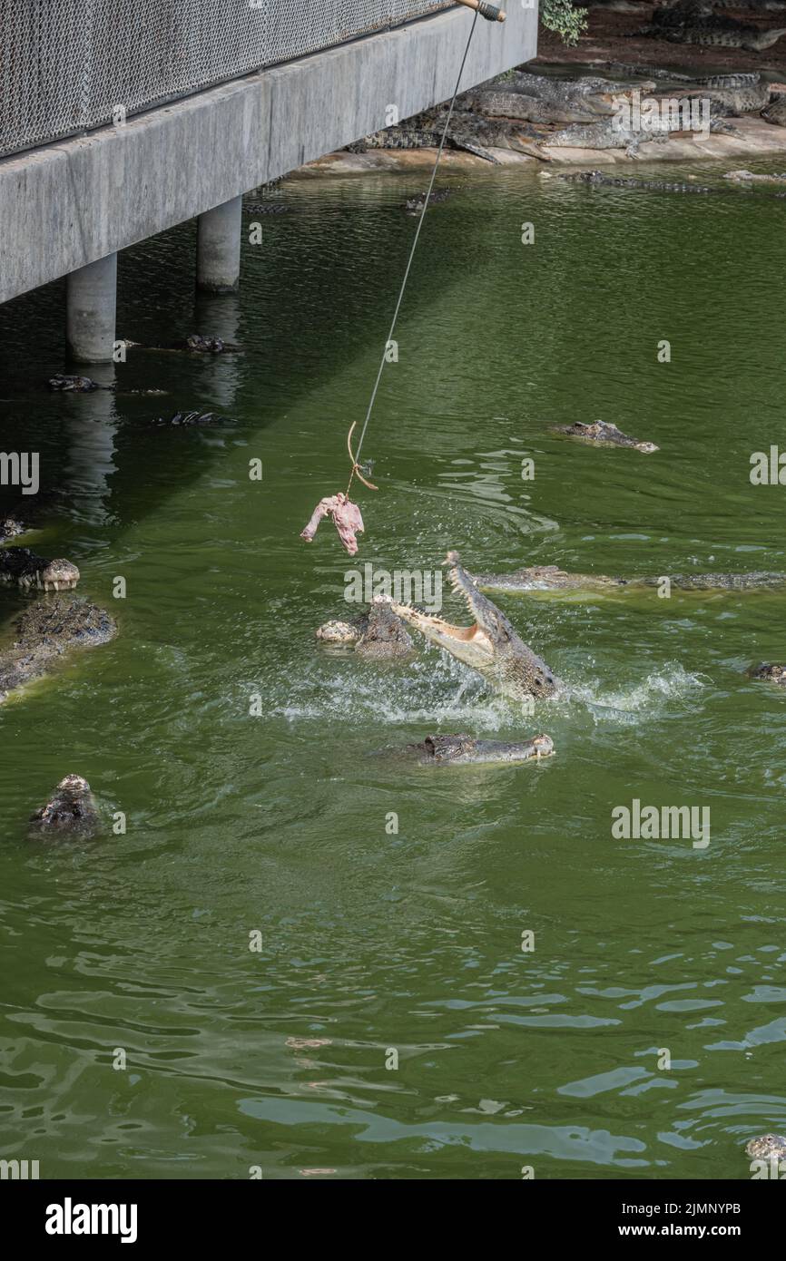 The One Million years Stone Park in Pattaya Thailand Stock Photo - Alamy
