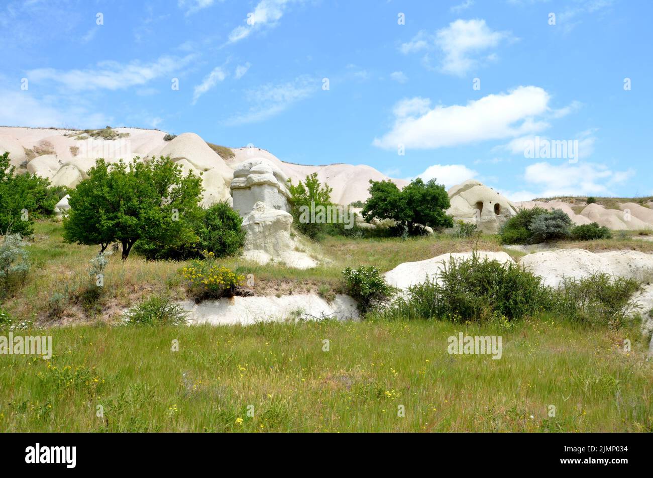 landscape in cappadocia, turkey with plants and white rocks Stock Photo ...
