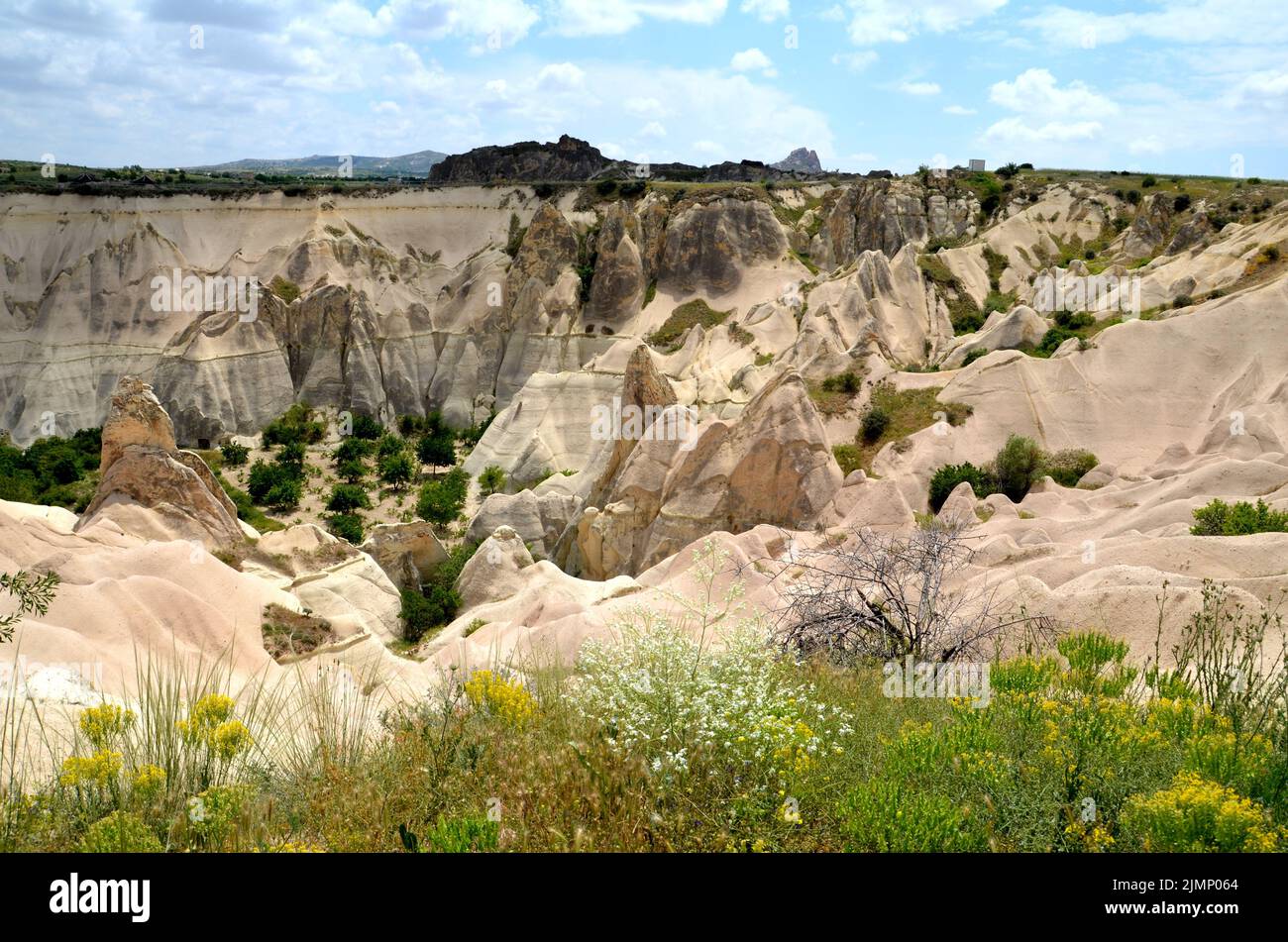 beautiful landscape of cappadokia, turkey with plants and rocks Stock ...