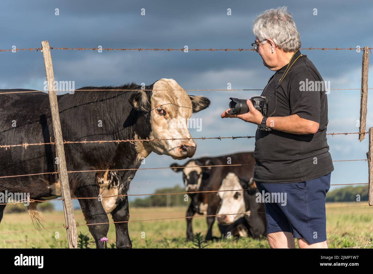 Gray haired photographer with camera in hand looking at a black and ...