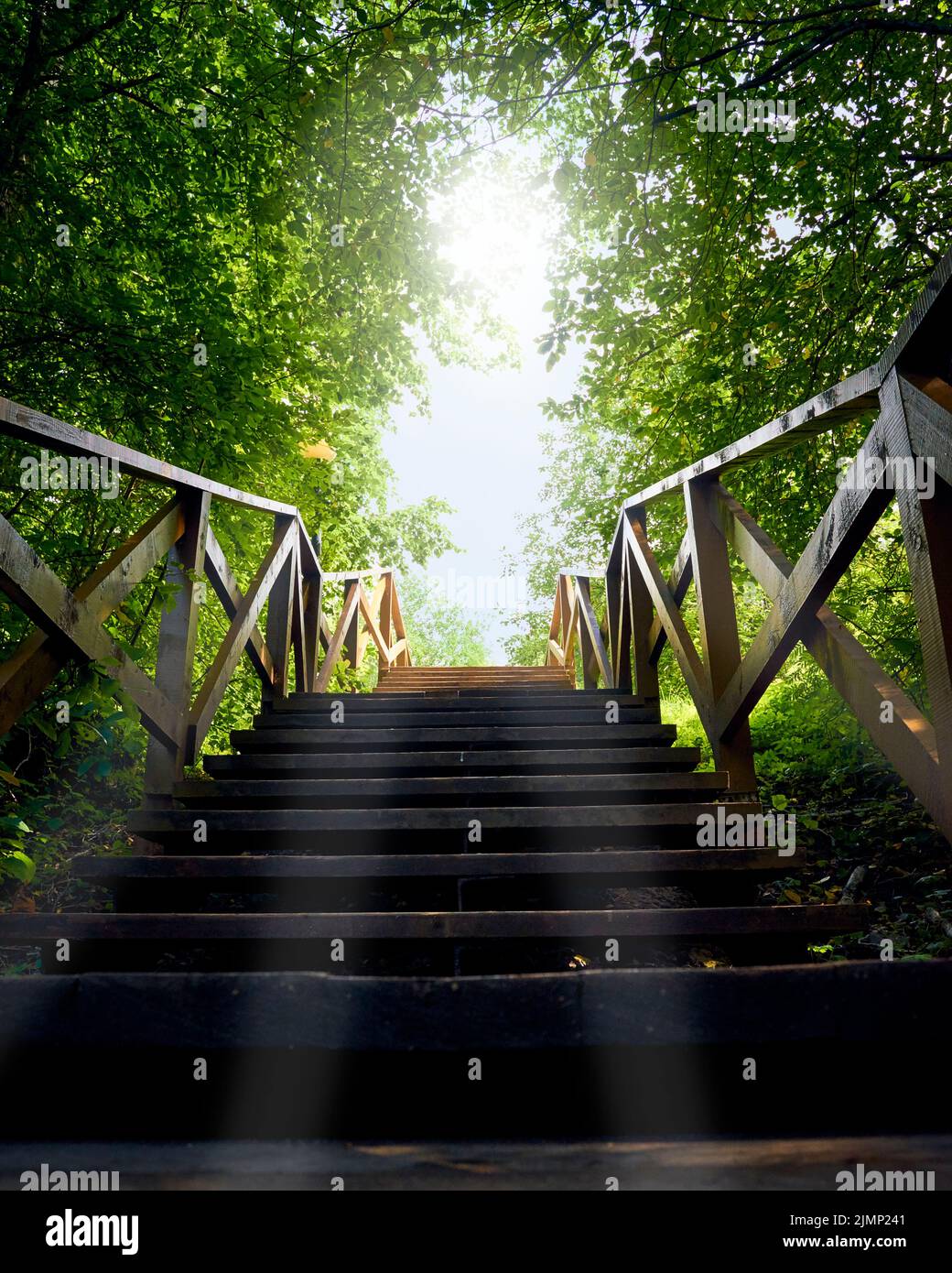 Path, road from darkness to light, blue sky, a wooden ladder among ...