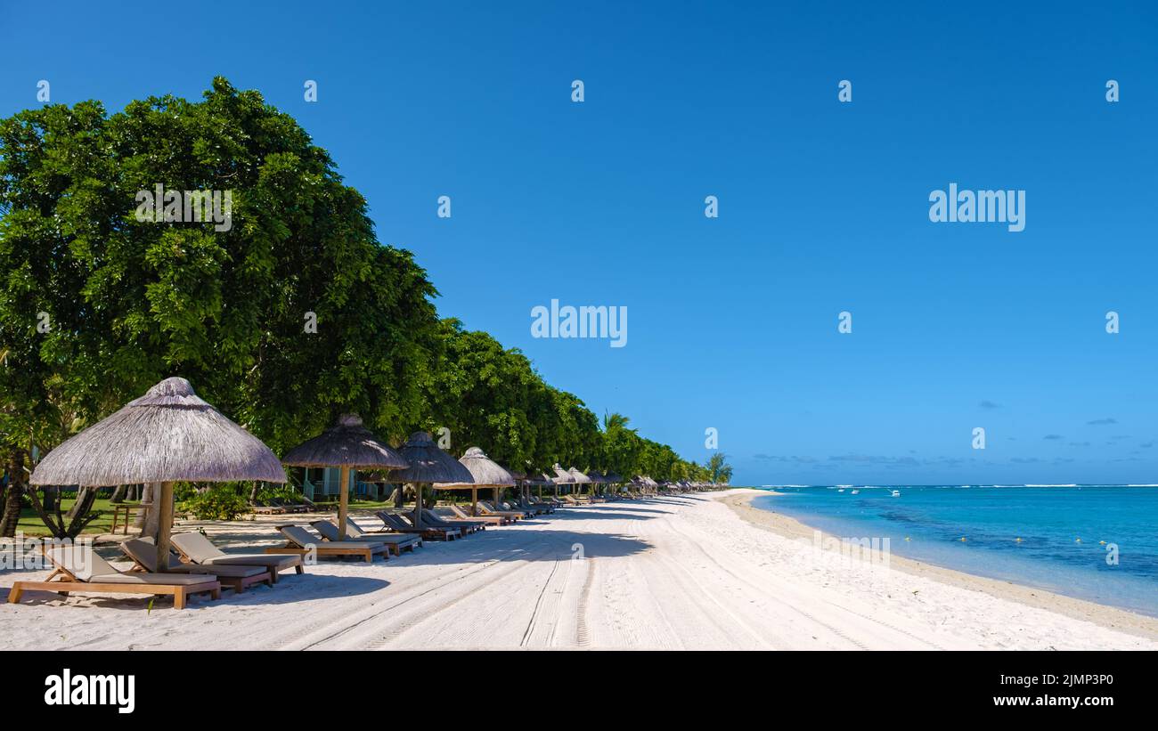 Tropical beach with palm trees and white sand blue ocean and beach beds ...