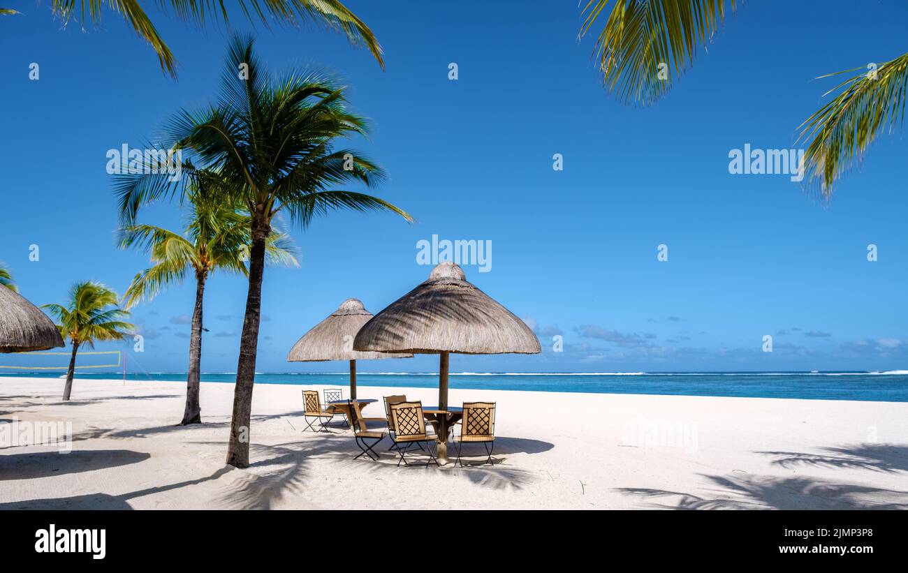 Tropical beach with palm trees and white sand blue ocean and beach beds ...