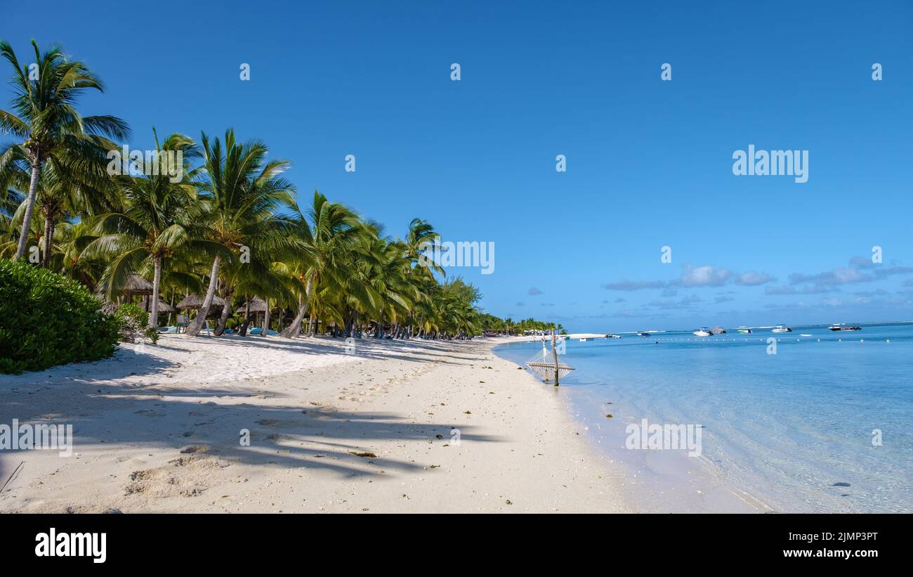 Tropical beach with palm trees and white sand blue ocean and beach beds ...