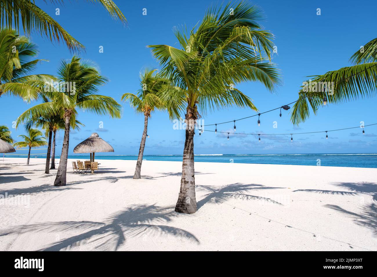 Tropical beach with white sand and palm trees Le Morne Mauritius, white ...