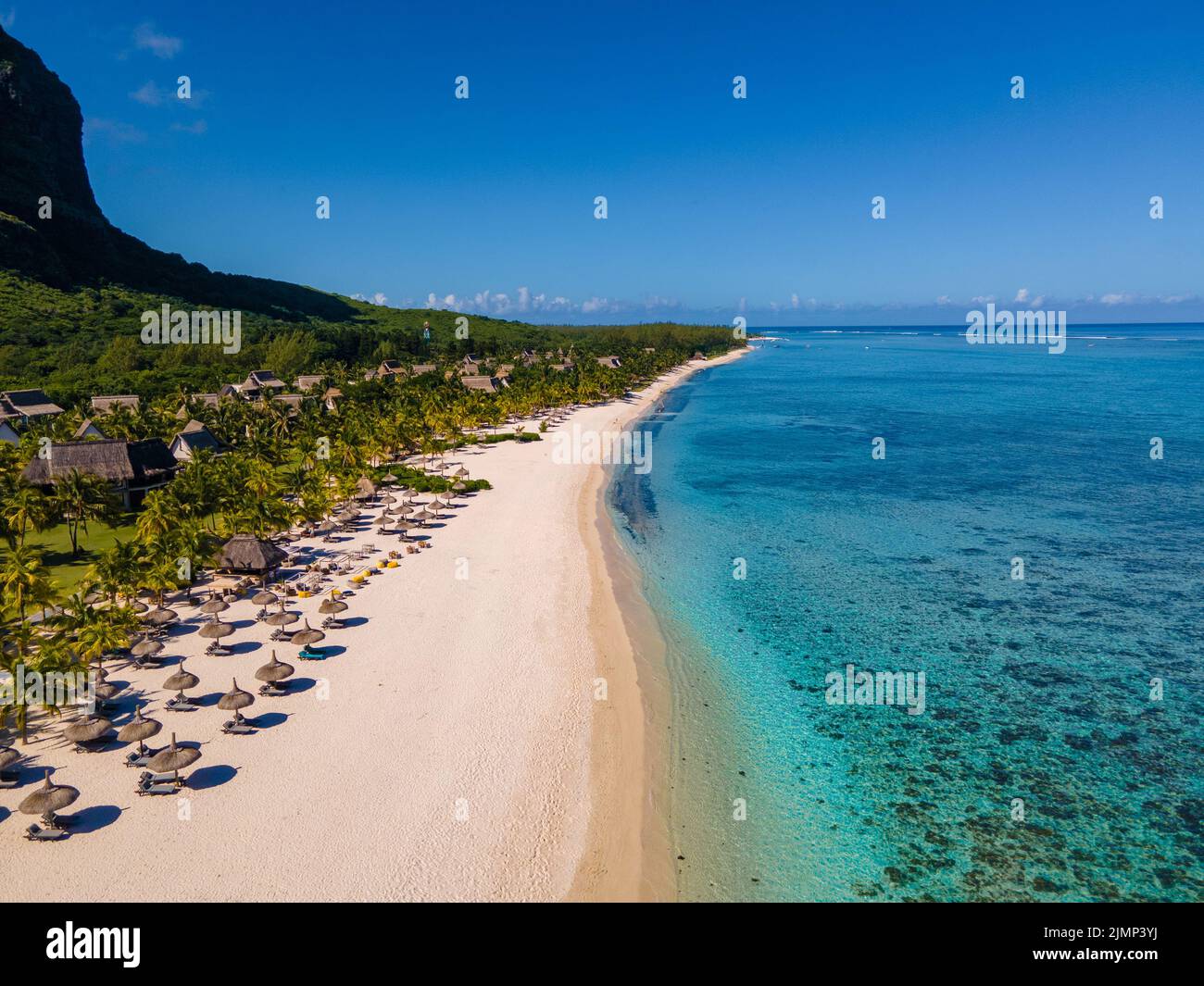 Le Morne beach Mauritius,Tropical beach with palm trees and white sand ...
