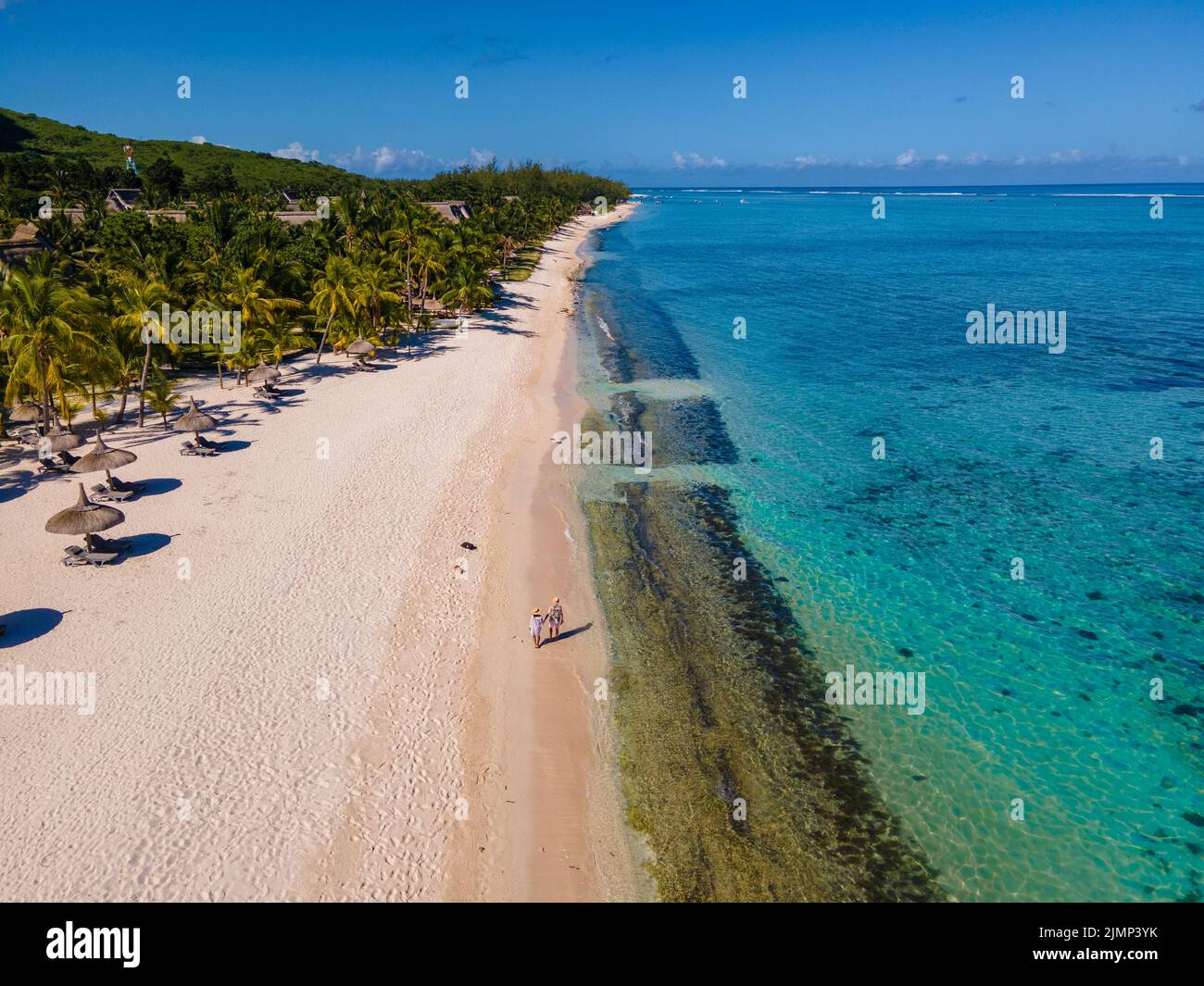 Le Morne beach Mauritius,Tropical beach with palm trees and white sand ...