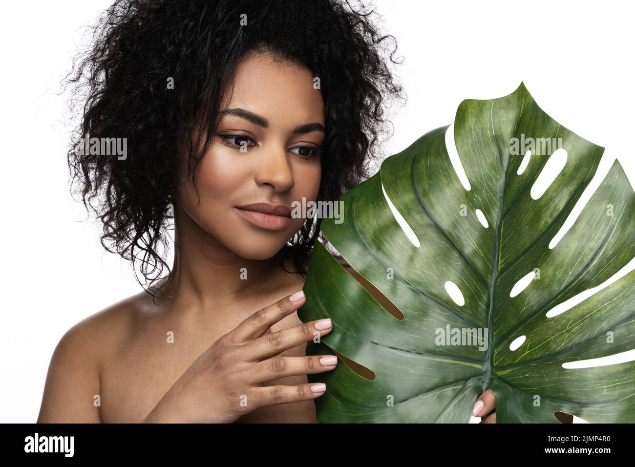 Beautiful black woman with a smooth skin holding green tropical leaf ...