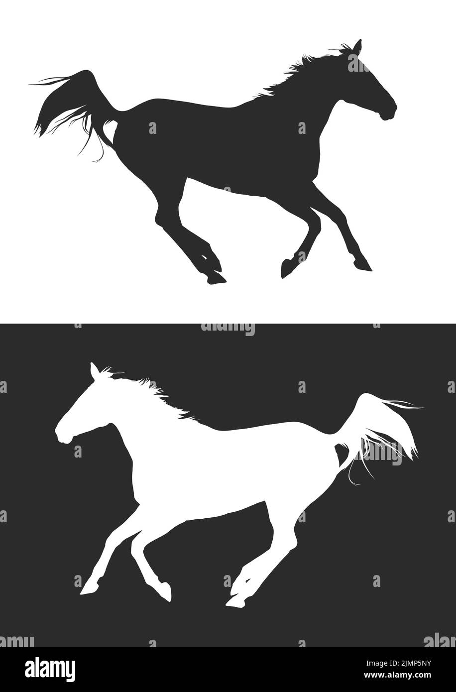 Horse tail silhouette hi-res stock photography and images - Alamy