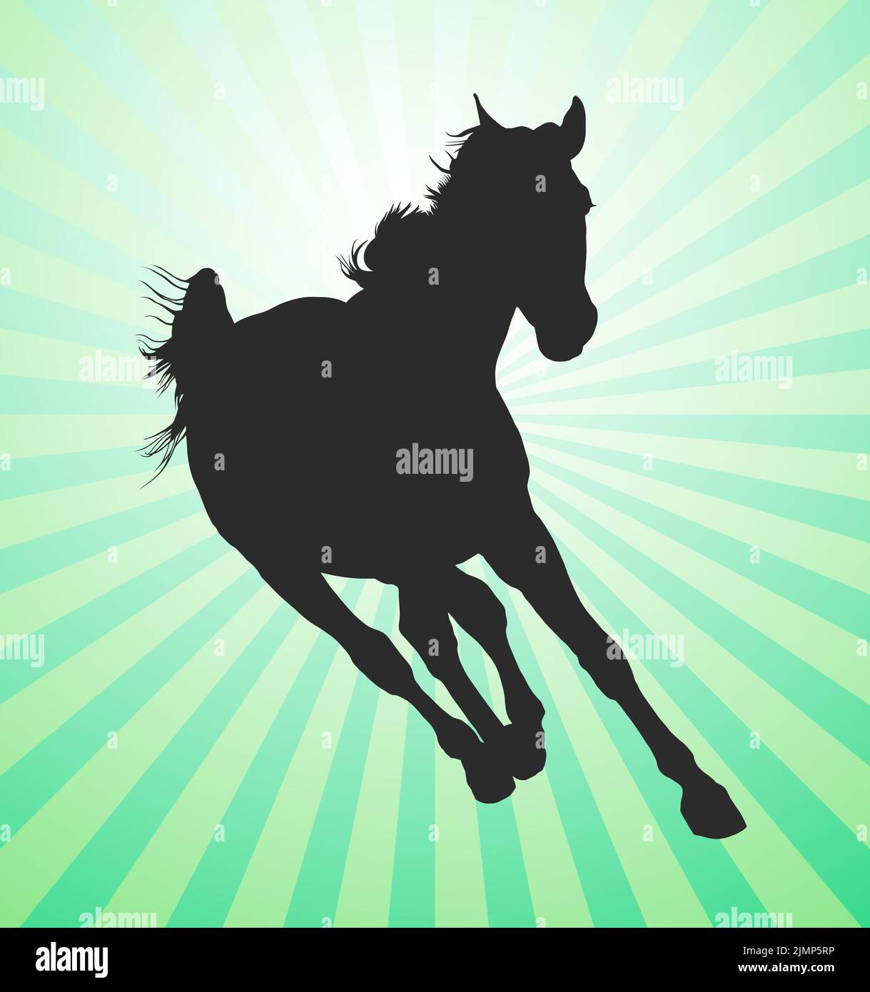 Horse tail silhouette hi-res stock photography and images - Alamy