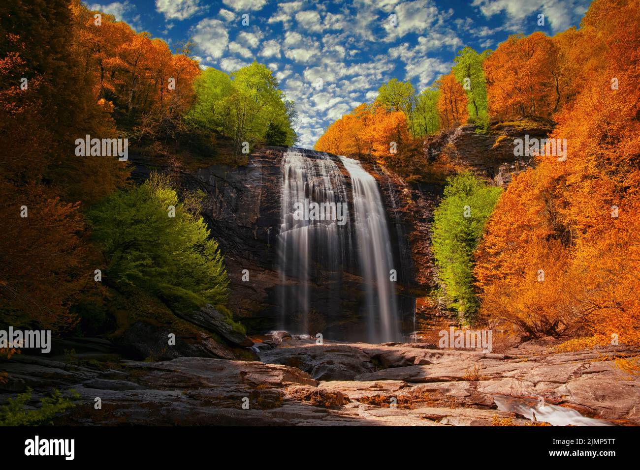 Beautiful waterfall among trees, green leaves, rocks and stones in ...