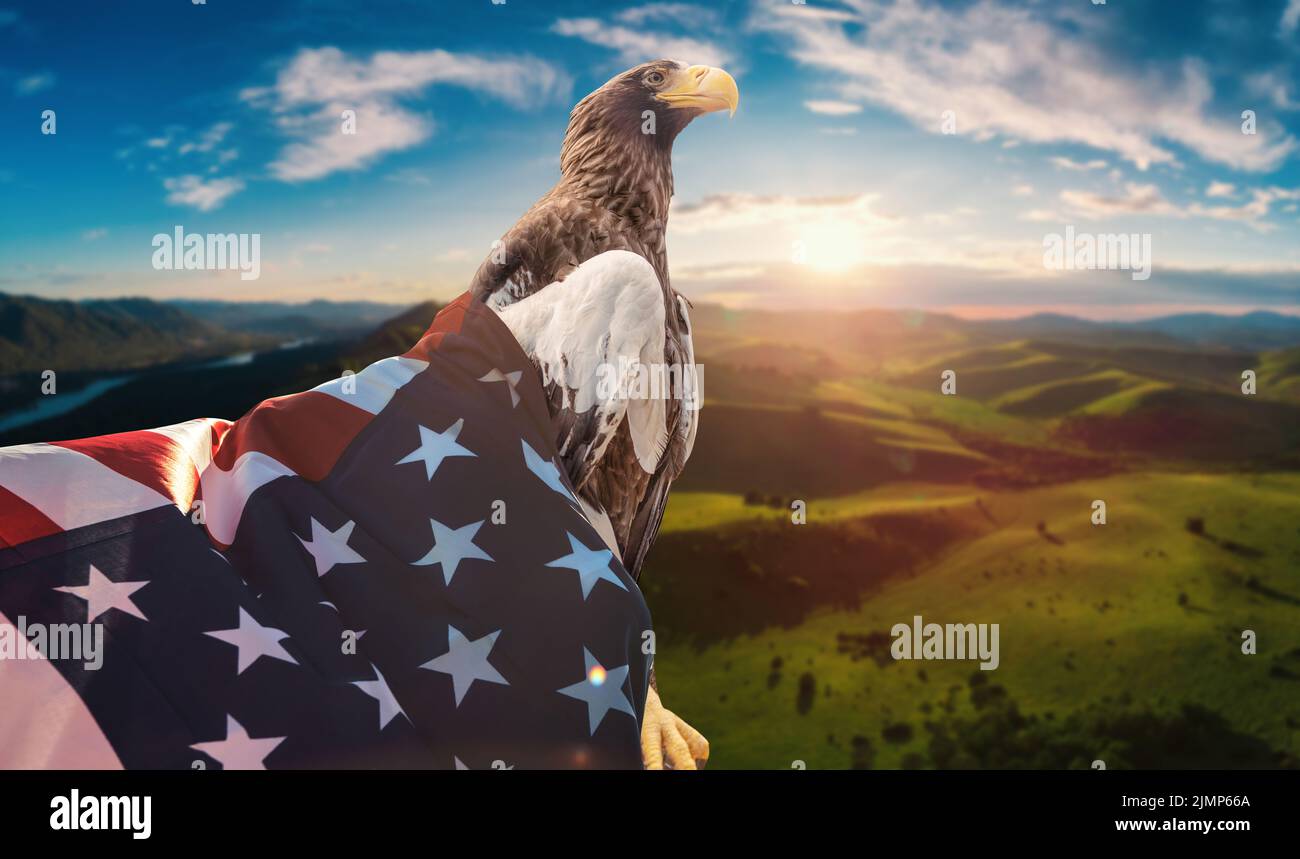 Flying bald eagle american flag hi-res stock photography and images - Alamy