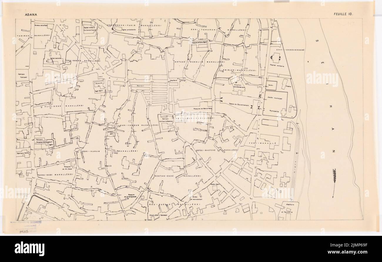 Hier blatt 10 hi-res stock photography and images - Alamy