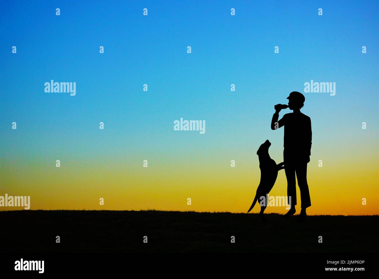 Silhouette dog in door hi-res stock photography and images - Alamy