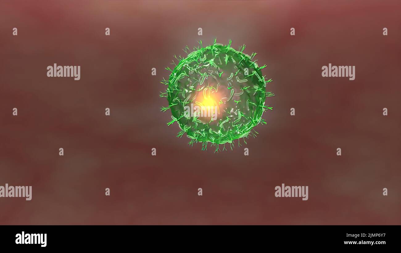 Infected cell hi-res stock photography and images - Alamy