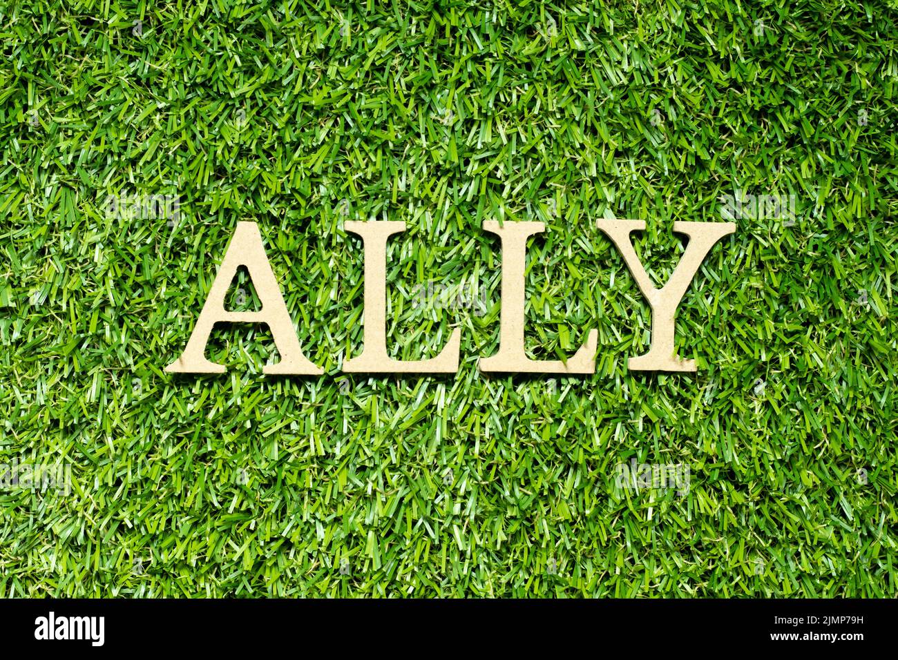 Wood alphabet letter in word ally on green grass background Stock Photo ...