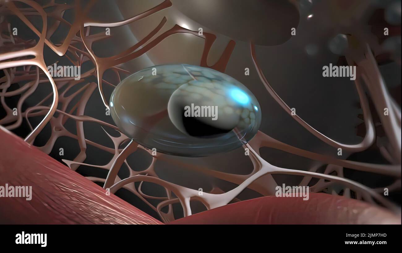 Viral pathogens hi-res stock photography and images - Alamy