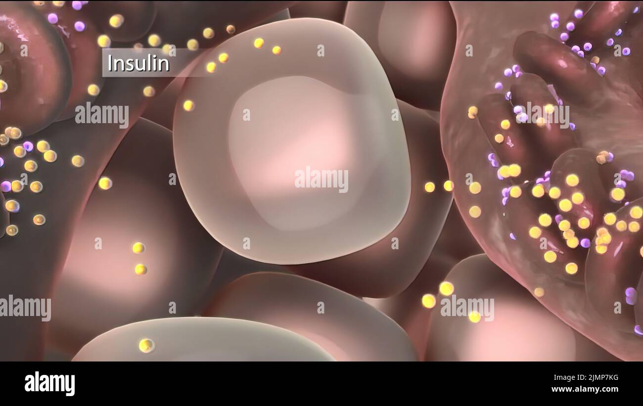 Human insulin molecule hormone hi-res stock photography and images - Alamy