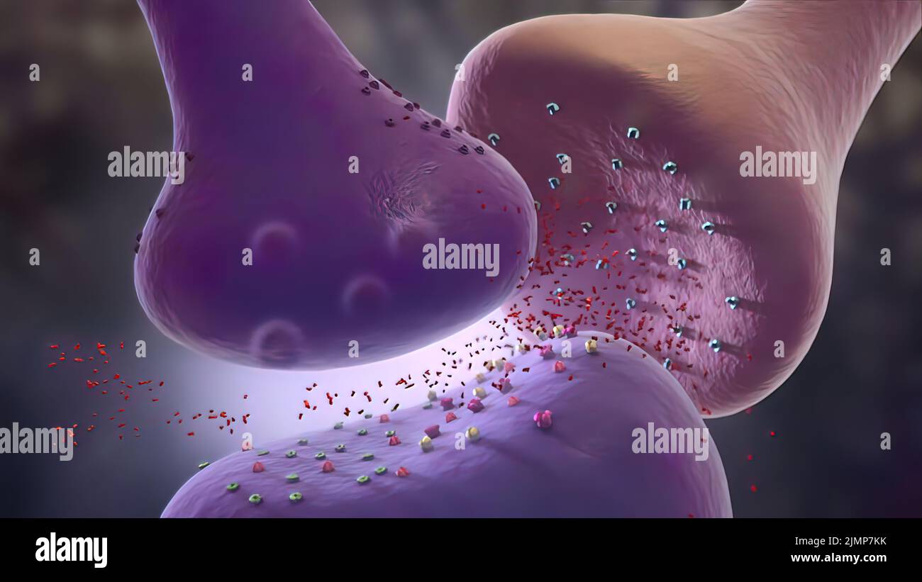 Destroyed brain cells hi-res stock photography and images - Alamy