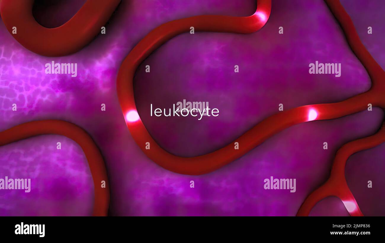 Tmj illustration hi-res stock photography and images - Alamy