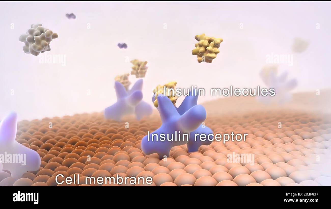 Signal transduction pathway hi-res stock photography and images - Alamy