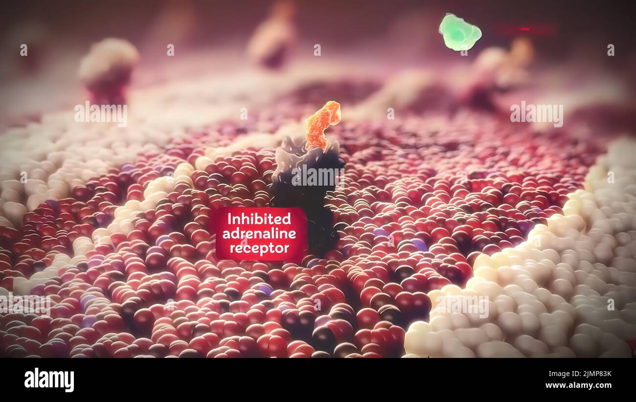 Drug receptor interactions hi-res stock photography and images - Alamy