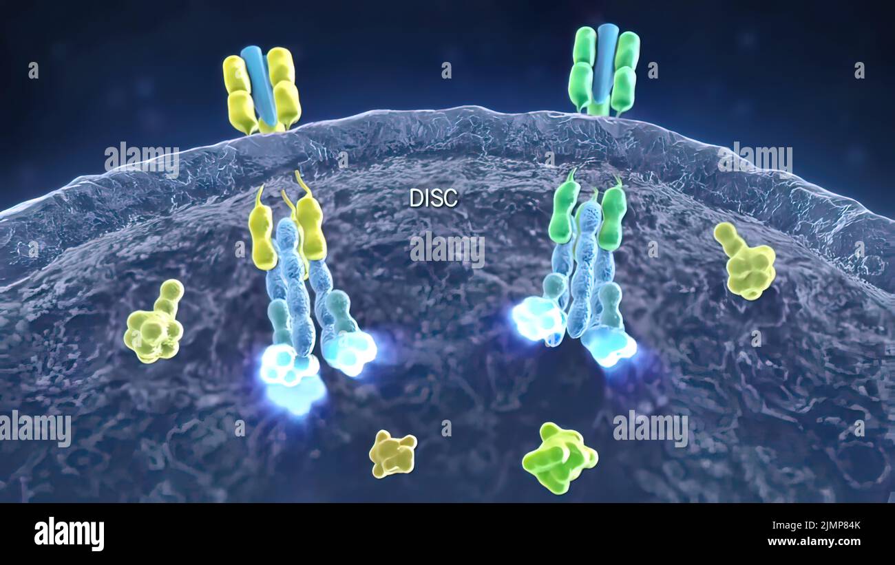 Lysosomes hi-res stock photography and images - Alamy