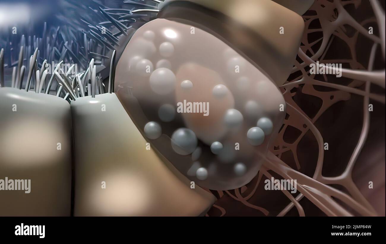 Viral pathogens hi-res stock photography and images - Alamy