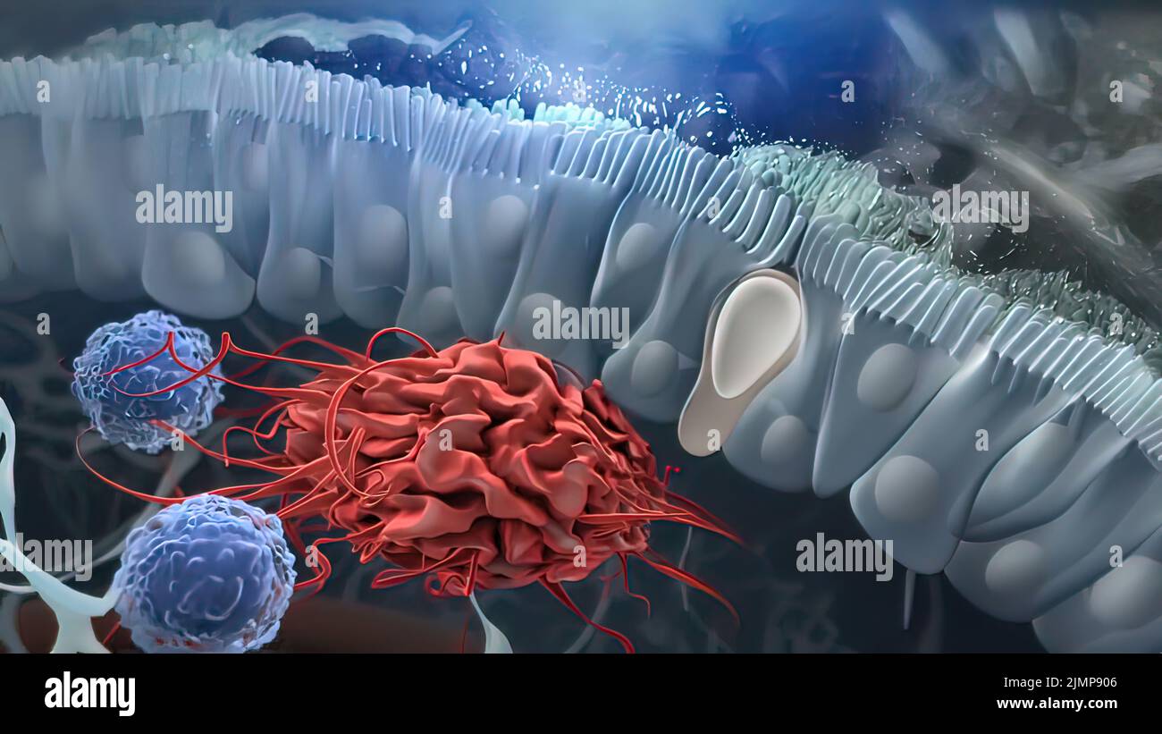 Myeloid progenitor cells hi-res stock photography and images - Alamy