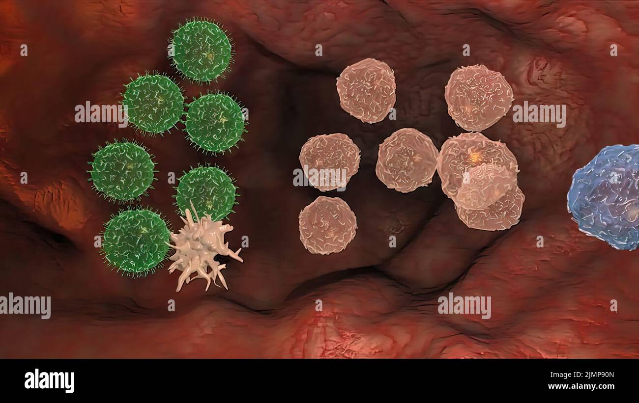 Infected cell immunity cell hi-res stock photography and images - Alamy