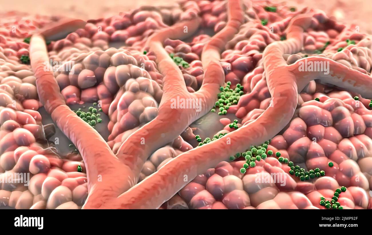 Cocci electron microscope hi-res stock photography and images - Alamy