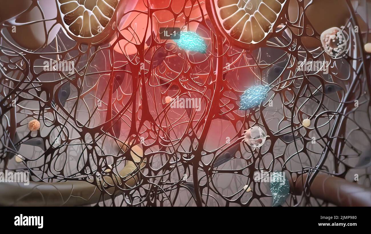 Defense physiology hi-res stock photography and images - Alamy