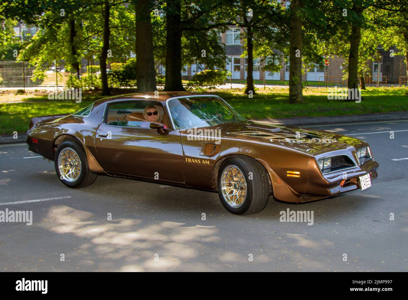 1979 Pontiac Trans Am Brown