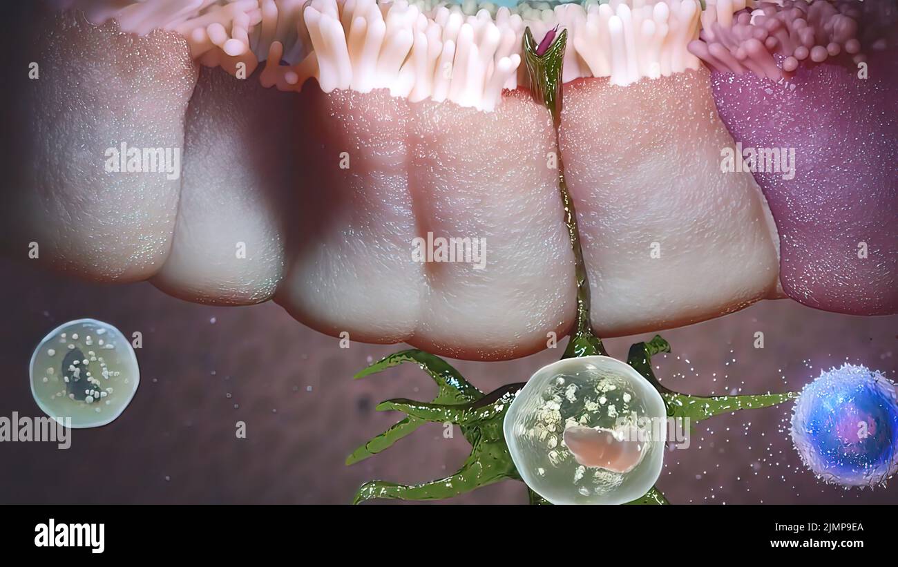 Immunity blood hi-res stock photography and images - Alamy