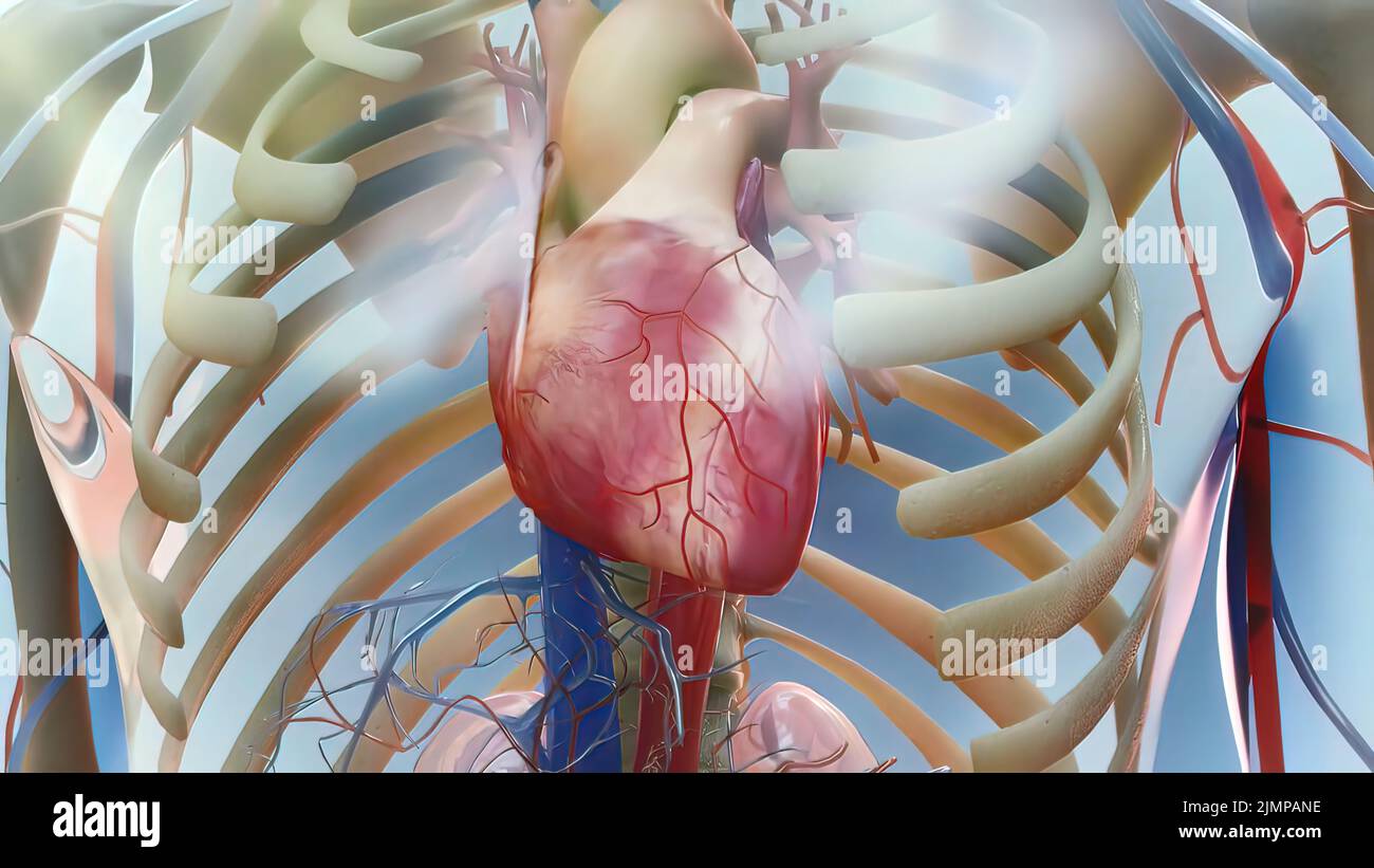 Heart is unable to pump hi-res stock photography and images - Alamy