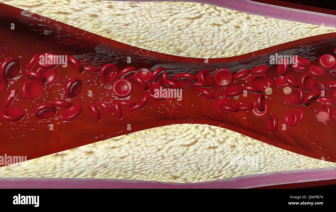 High density lipid hi-res stock photography and images - Alamy