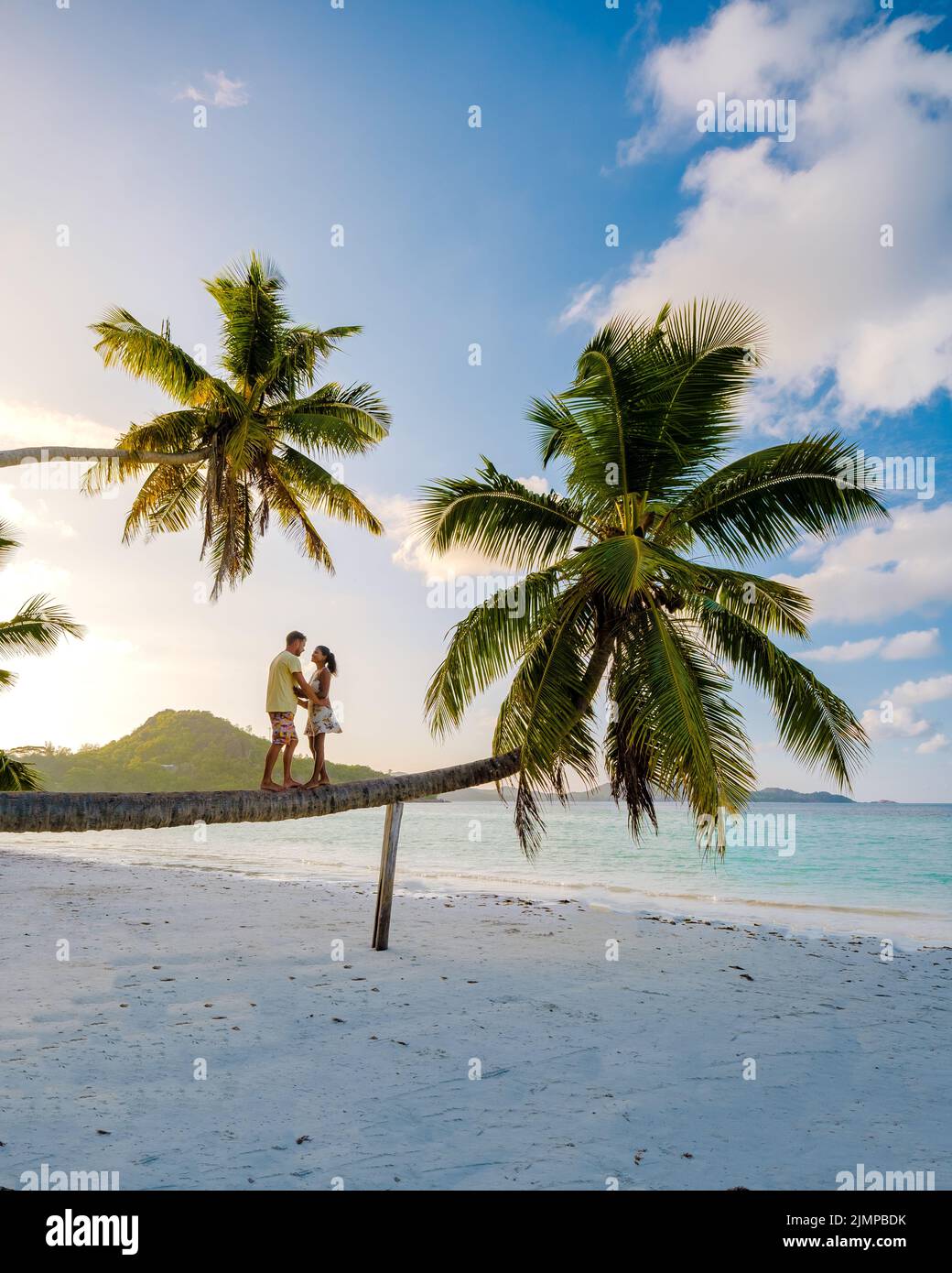 Praslin Seychelles tropical island with withe beaches and palm trees ...