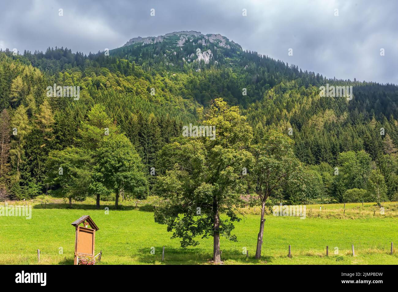 Beautiful scenery forested mountain hi-res stock photography and images ...