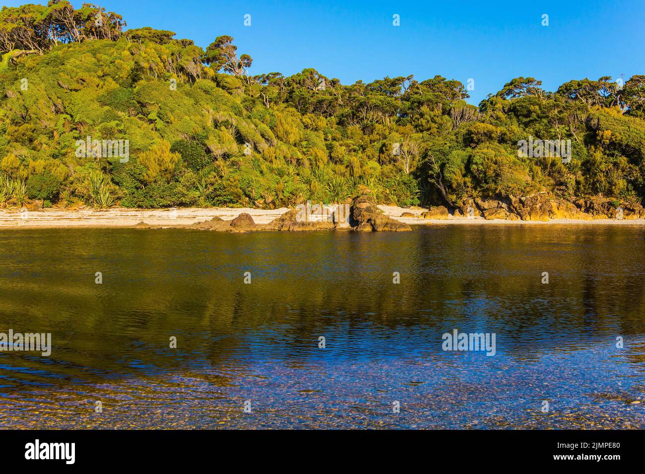 Puddles hi-res stock photography and images - Alamy