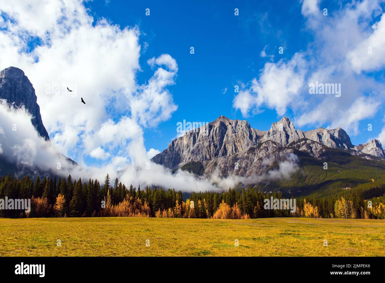 Chinook park hi-res stock photography and images - Alamy