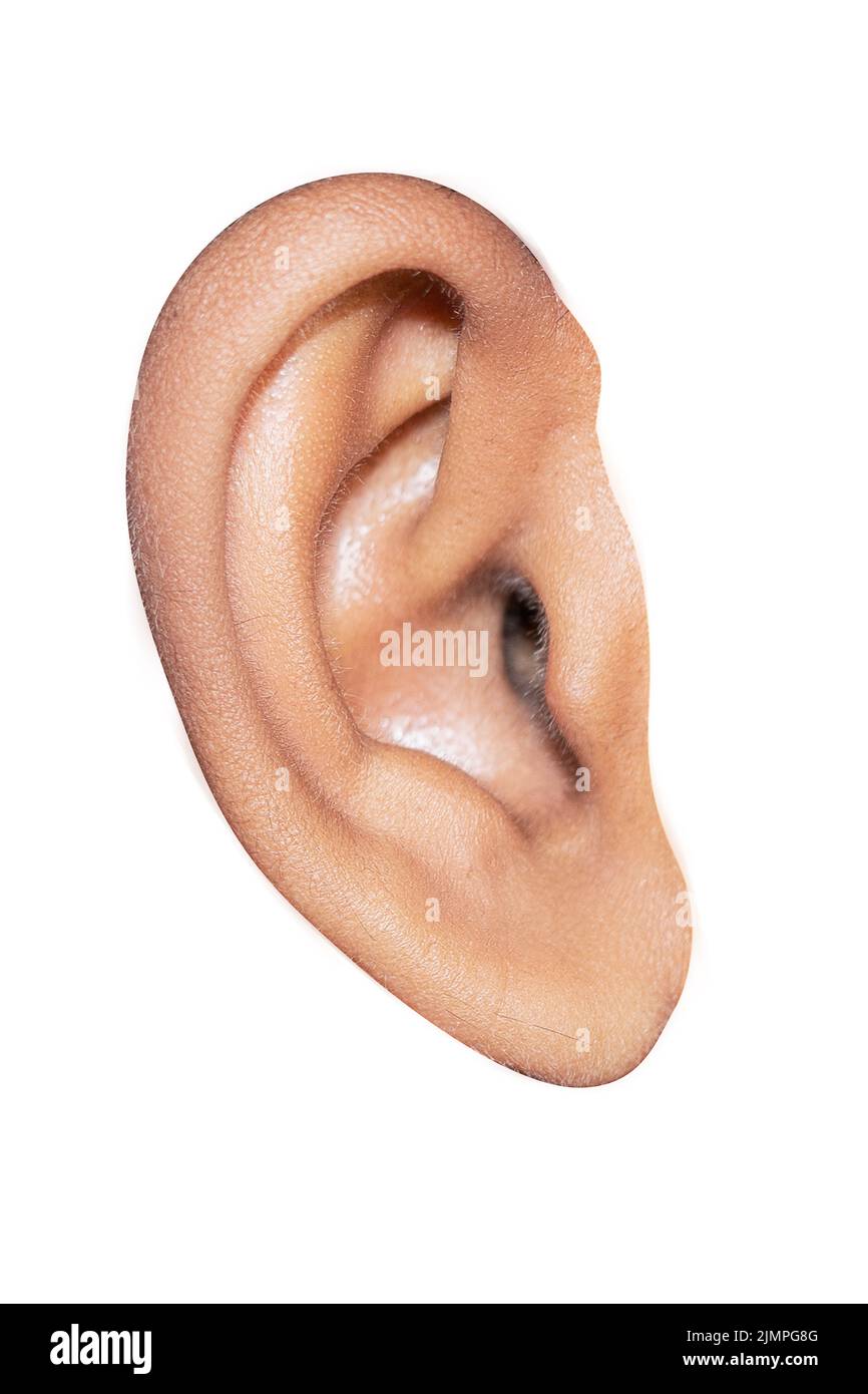 human face ear detail close-up macro shot Stock Photo - Alamy
