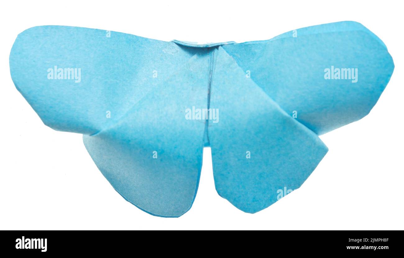 Blue origami butterfly Stock Photo - Alamy