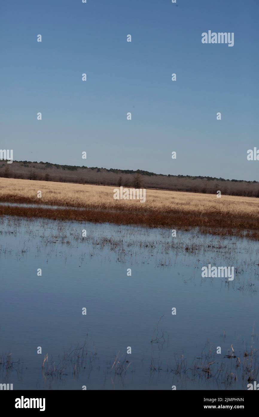 Meadow and forest across a waterway under a pretty blue sky Stock Photo ...