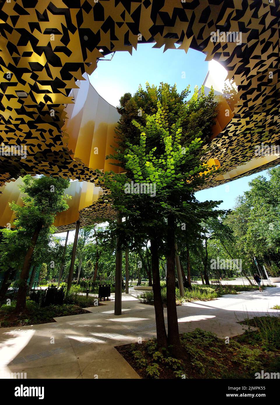Budapest, Hungary - House of Hungarian music. Detail leafy tree in ...