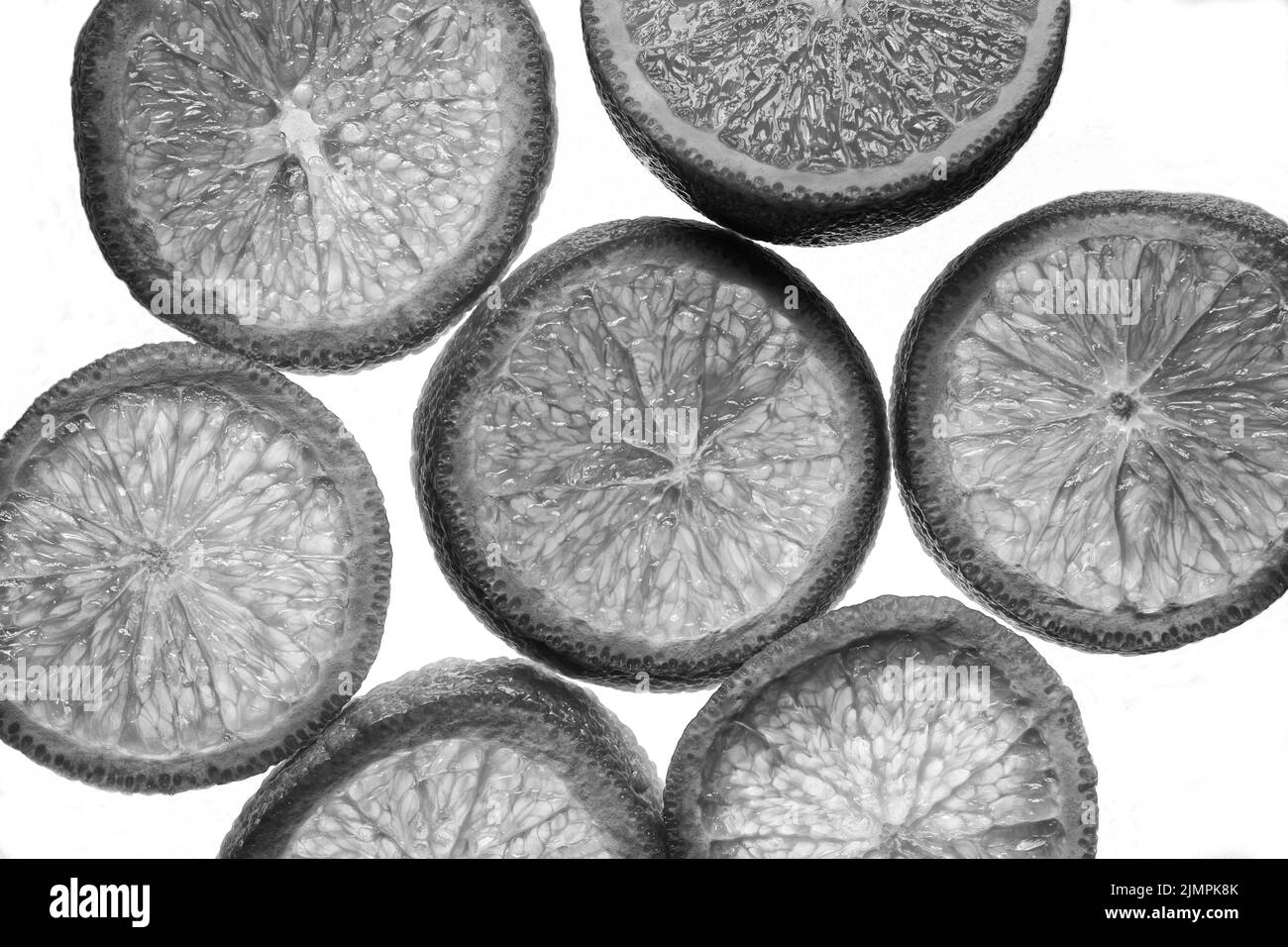 Oranges tree fruit Black and White Stock Photos & Images - Alamy
