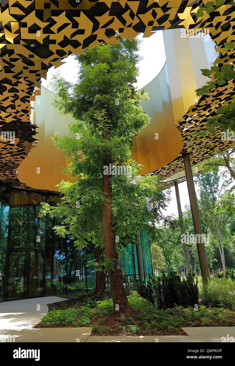 Budapest, Hungary - House of Hungarian music. Detail leafy tree in ...