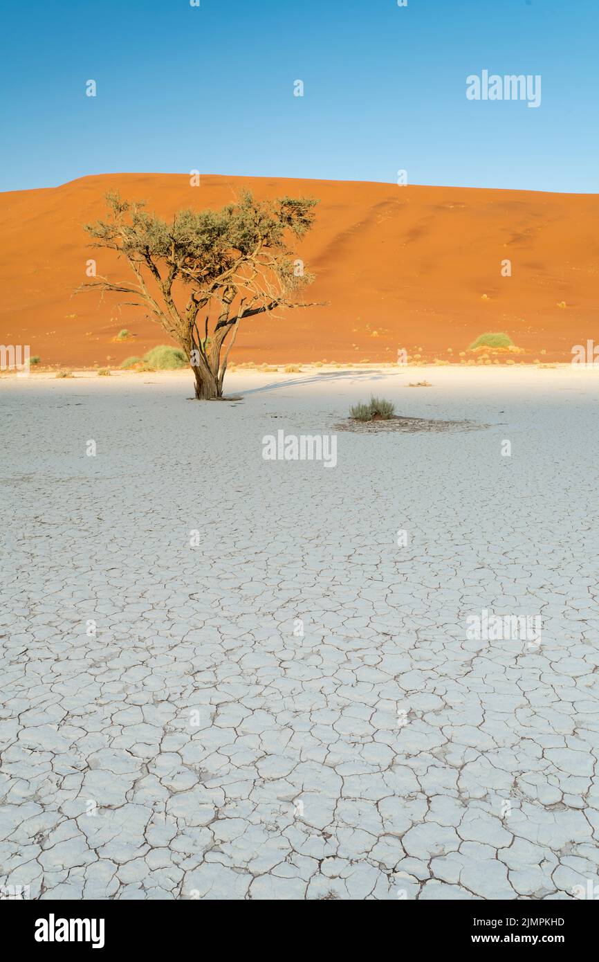view of scenery showing sand dunes at Deadvlei, Namibia Stock Photo - Alamy