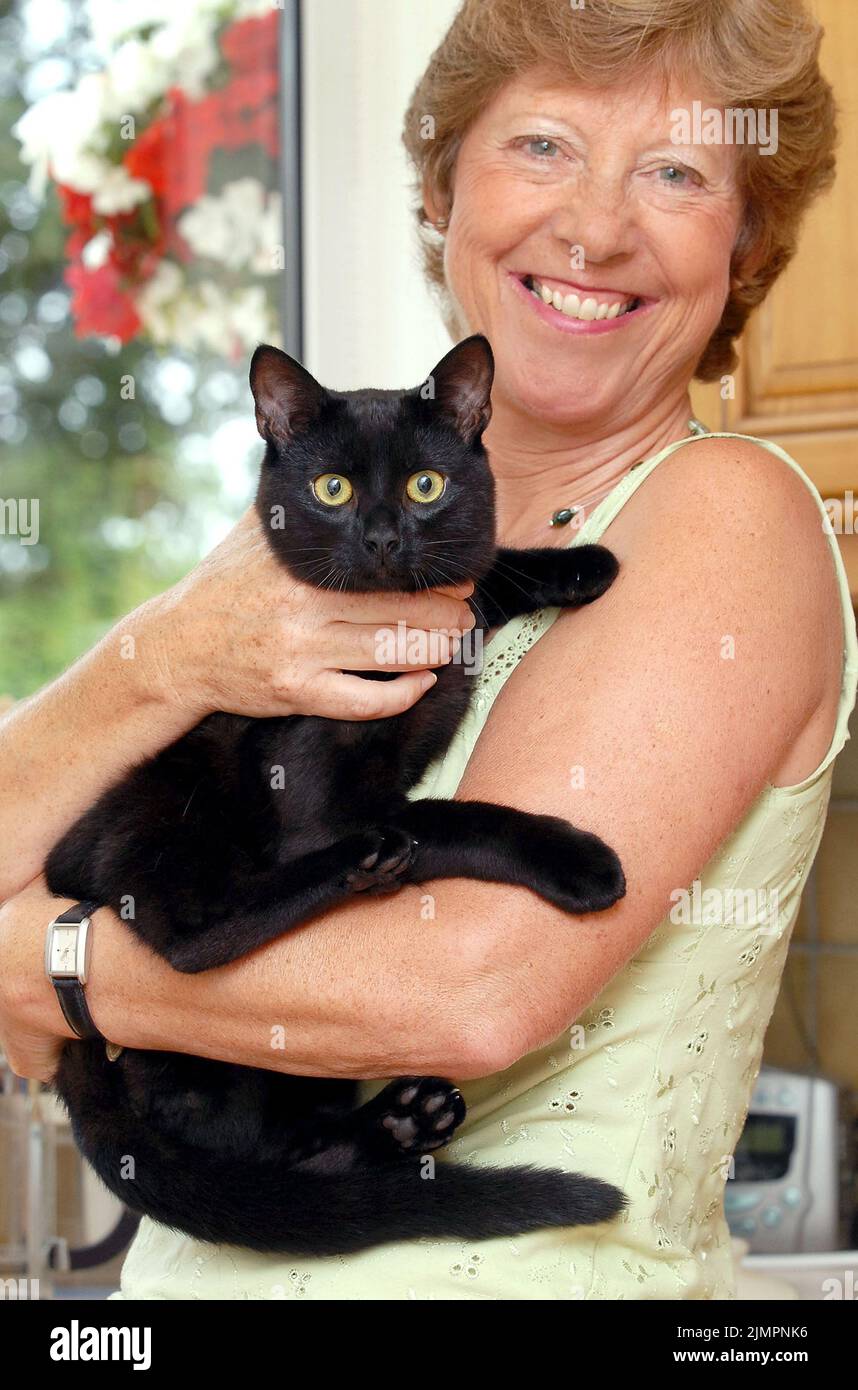 'Jack' the 8 month old stray cat who received £1500 worth of surgery ...