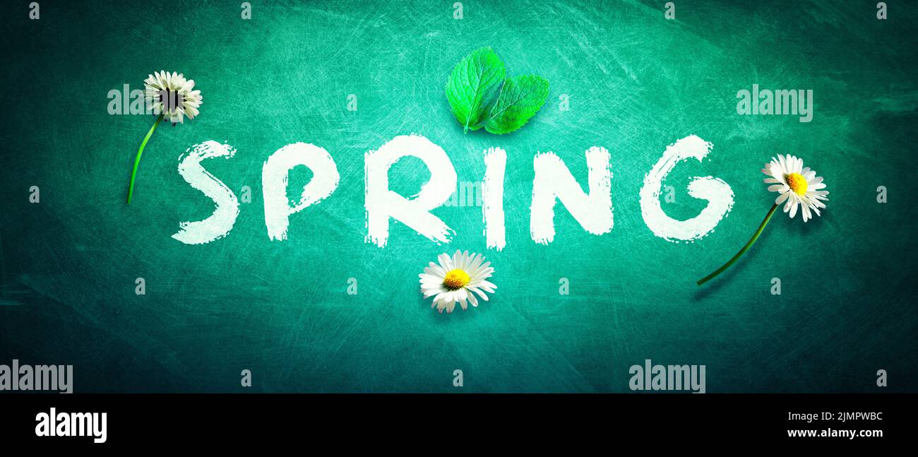 Funny spring word witten on chalkboad background Stock Photo - Alamy